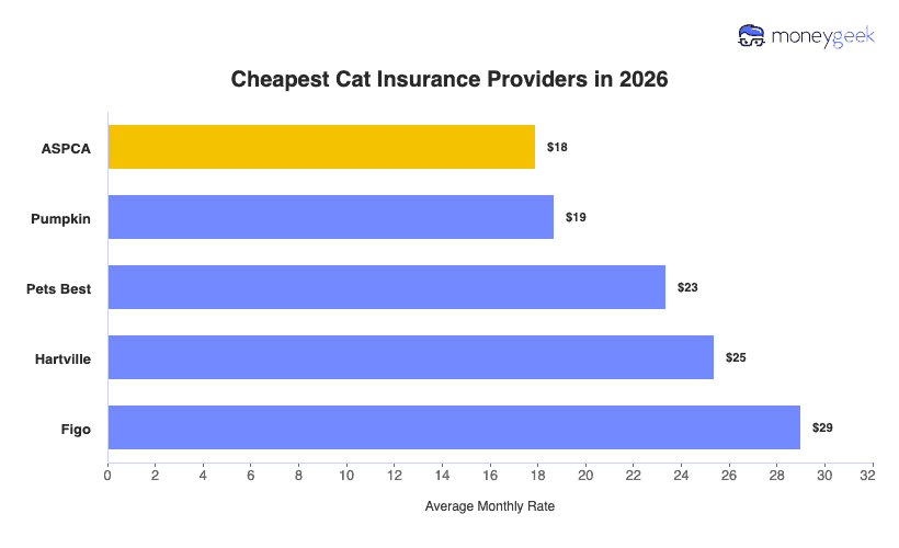 Cheapest Cat Insurance (From $10/mo)